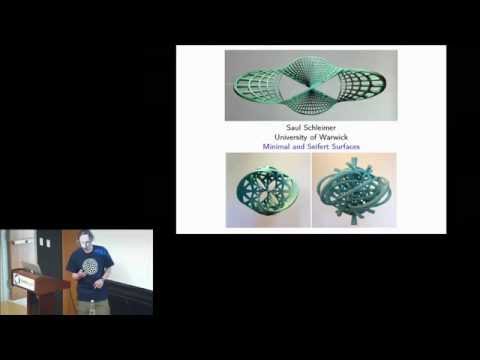 "Illustrating Geometry" exhibition: Artist's talk by Saul Schleimer: "Minimal and Seifert Surfaces"