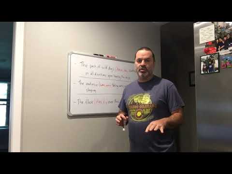 Pronoun-Antecedent Agreement/Quiz 2 review
