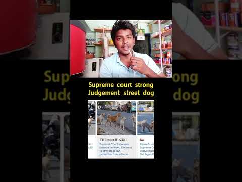 Judgement to street dogs ⭕ #fact #trendingshorts #shorts #tamil