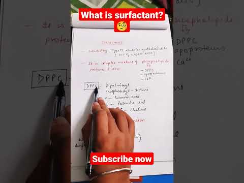 What is surfactant?