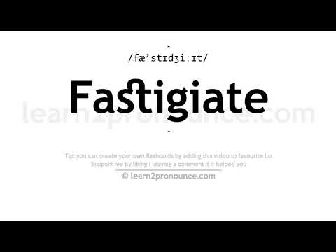 Pronunciation of Fastigiate | Definition of Fastigiate