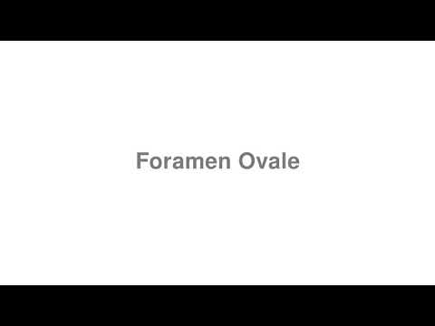 How to Pronounce "Foramen Ovale"