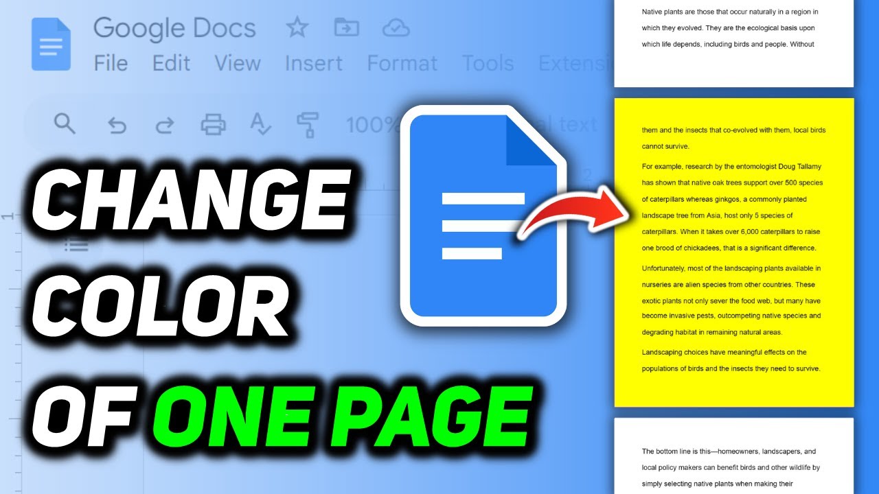How to Change Color of One Page in Google Docs