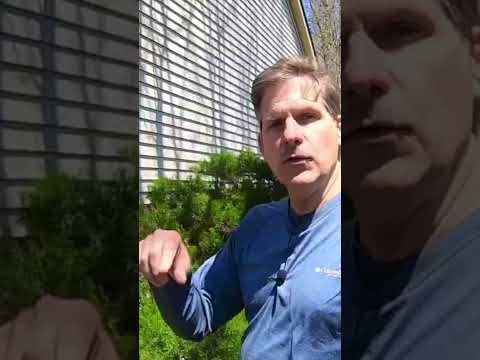 How to Turn on Irrigation System in Spring | How to Start Sprinkler System