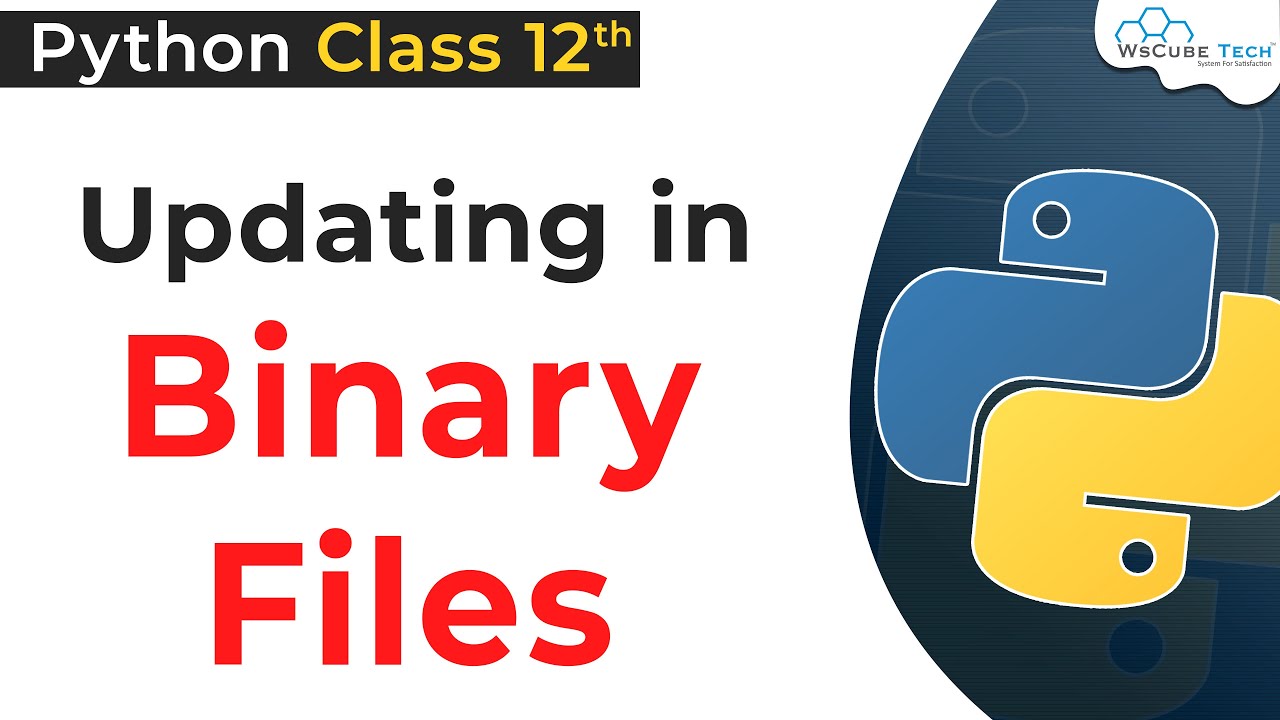 How to Update Binary File in Python | Python Binary Files | Computer Science with Python Class 12