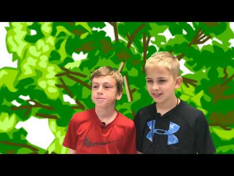 Root Word Video