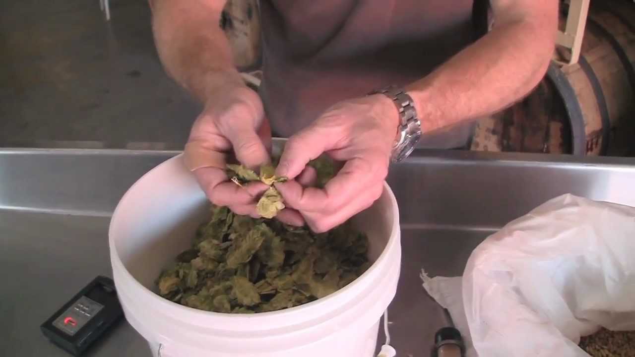 A Look at Richmond's Craft Beer Scene