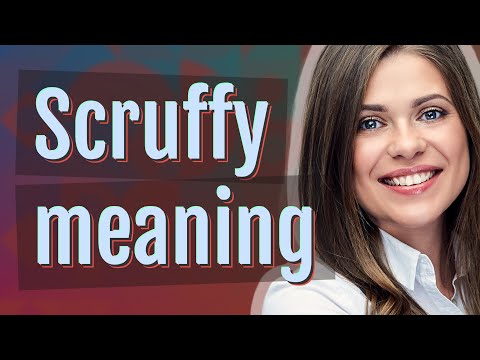 Scruffy | meaning of Scruffy
