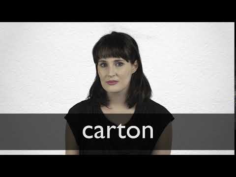 CARTON definition in American English | Collins English Dictionary