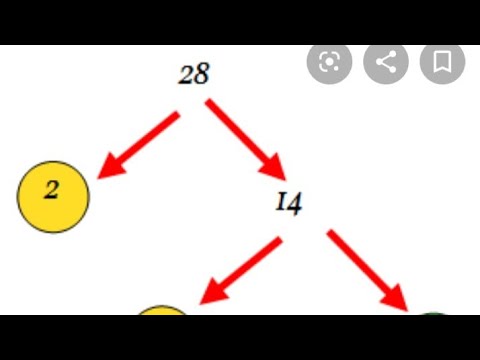 Factor Tree Of 28|Prime Factorization Of 28