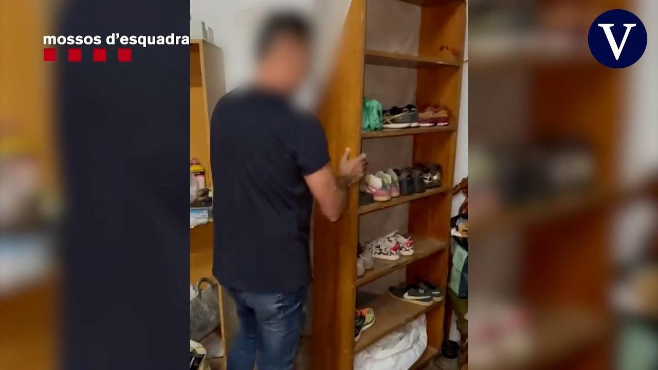 Desmantelada una plantación de marihuana escondida tras una estantería de zapatos