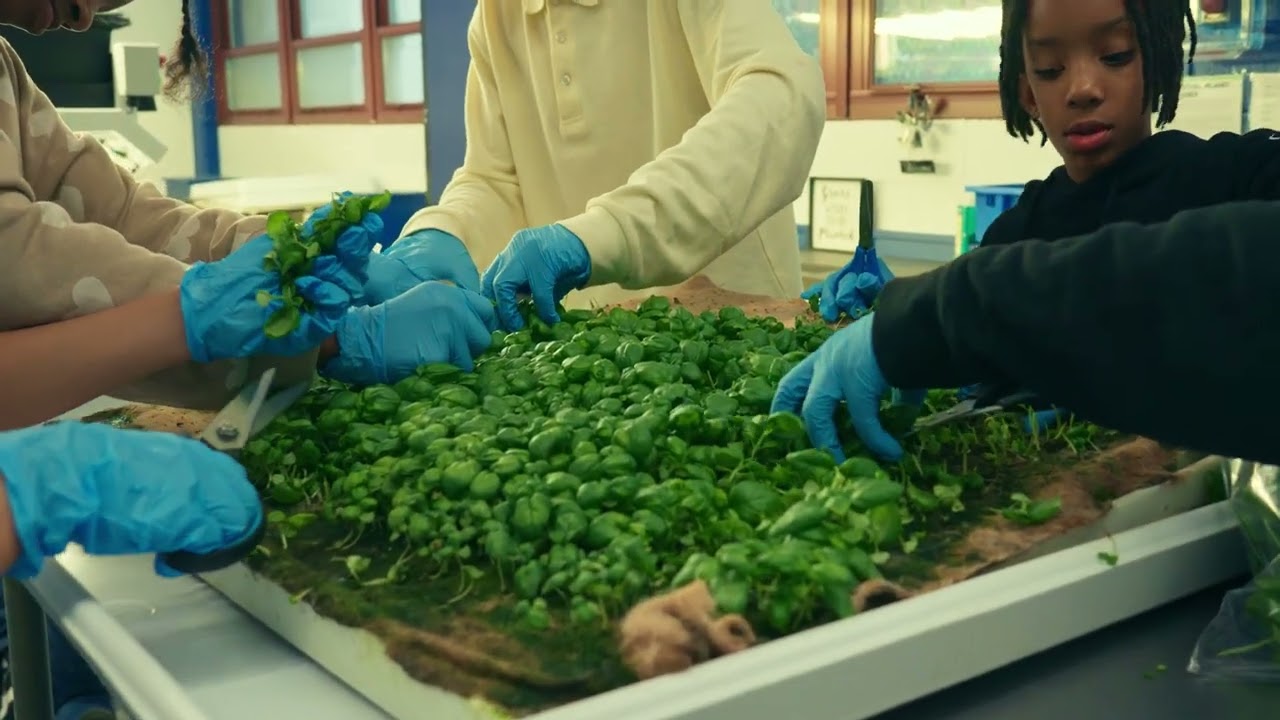 1  Our Mission and Inspiration 1