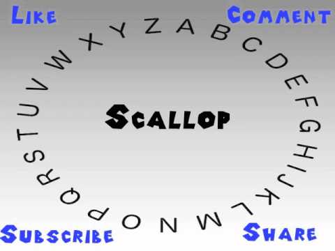 How to Say or Pronounce Scallop