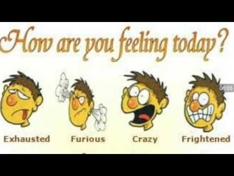 Feeling and emotions with meaning