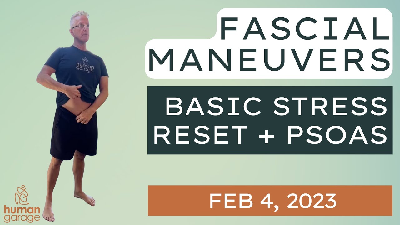 Stress Reset Basic Garry