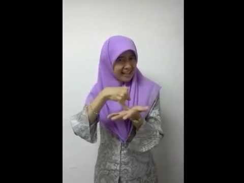 Brunei Sign Language