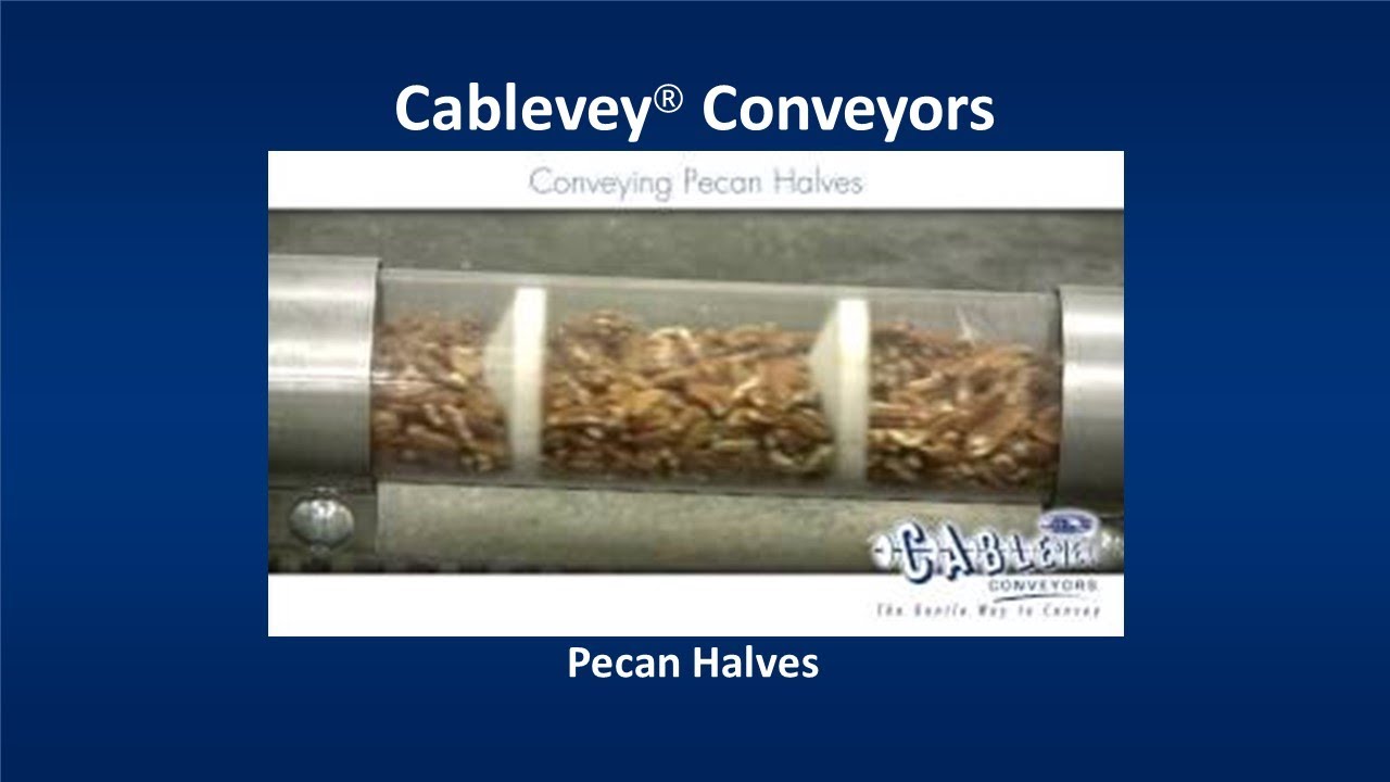 Cablevey Conveyors- Conveying Pecan Halves