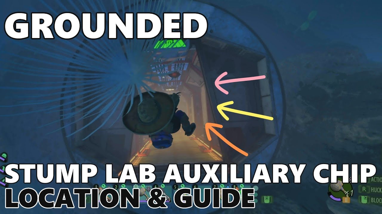Stump Lab Auxiliary Chip Location - Grounded