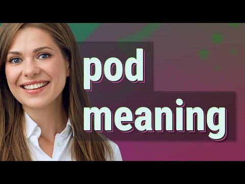 Pod | meaning of Pod