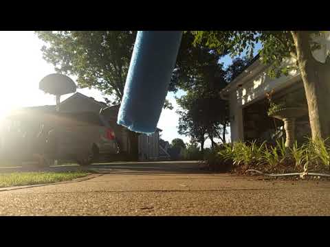 Throw Away Your Pool Noodles Immediately, Snakes Are Living in Them