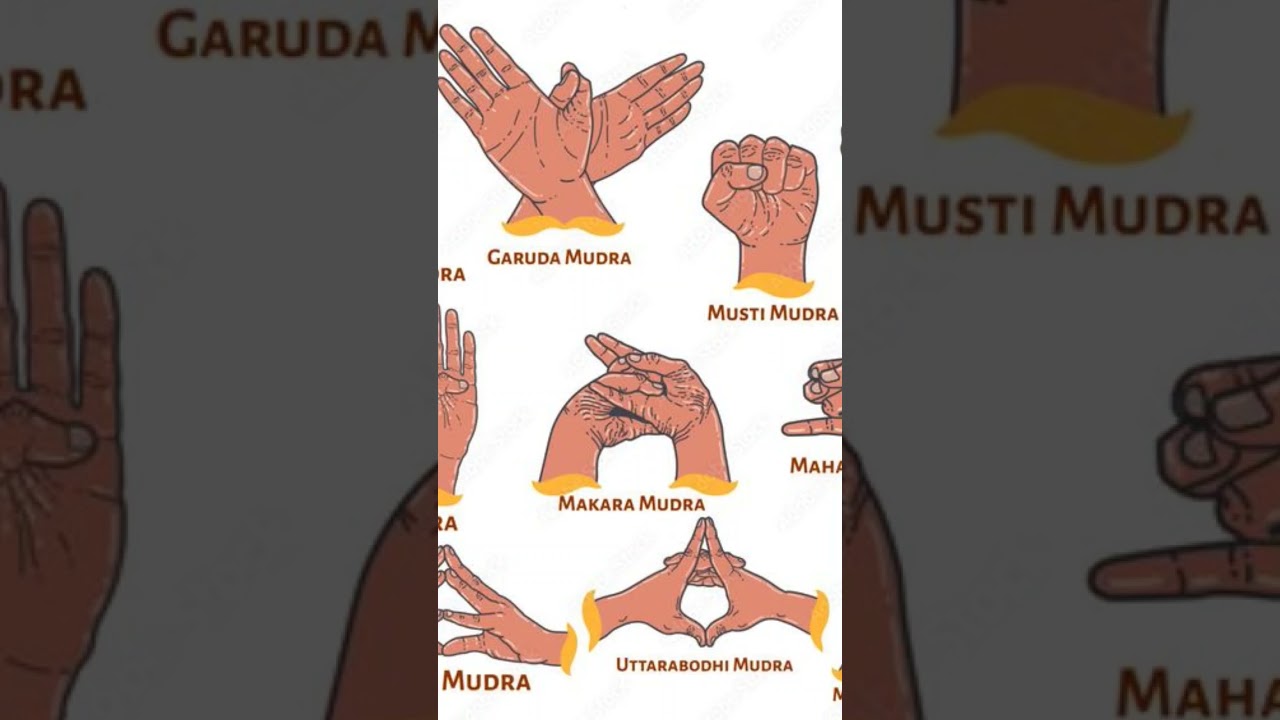Yoga Mudra gestures || set 10 hand gesture Stock Vector|| #trending #video