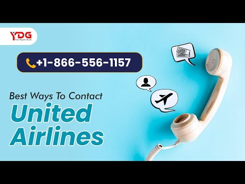How to Contact United Airlines | Phone Number & Process