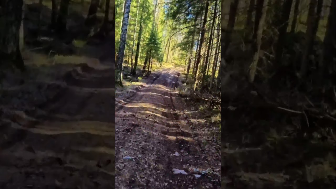 Loppi single tracks