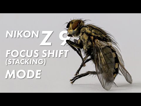 Nikon Z9: Focus shift walkthrough (1669)