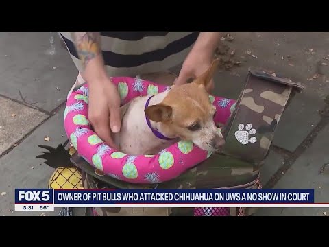 UWS pit bull attack: Owner failed to show up to court