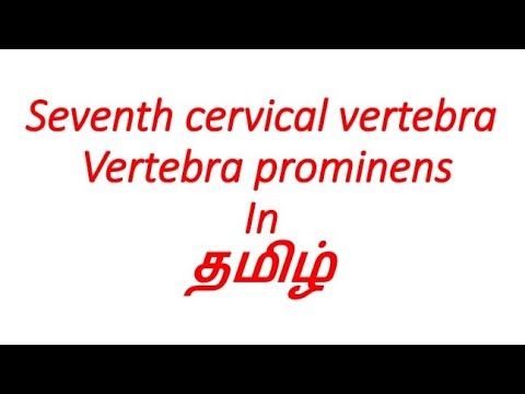 Seventh cervical vertebra in Tamil / Vertebra prominens in Tamil / C7 vertebra in Tamil