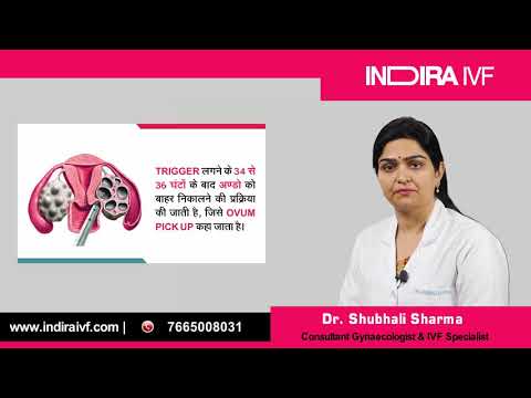 Best IVF Centre in Bangalore: IVF Clinic in Bangalore | Indira IVF