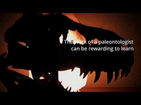 $76,000 Paleontologist Job Salary info and Qualifications Needed