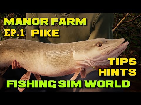 Steam Community :: Video :: Fishing Sim World Manor Farm Lake Linear ...