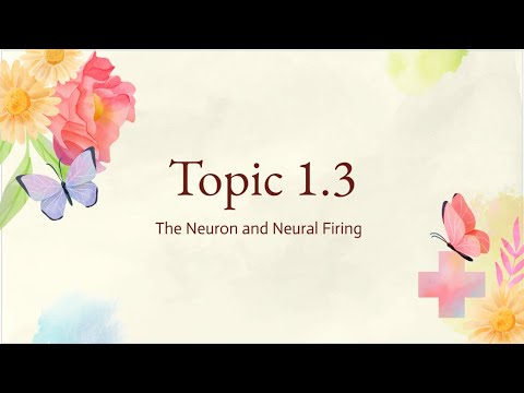 Ap Psychology 2025| The Neuron and Neural Firing 1.3 Explained| Get a 5 on the AP Psych Exam|