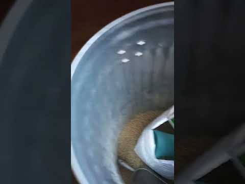 What's in the feed room?