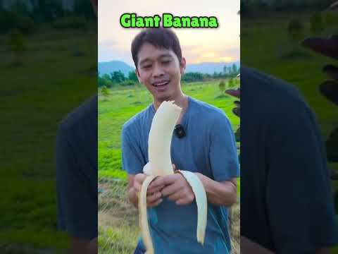 Choose one fruit to eat in your life forever #viral #pt2 #shorts
