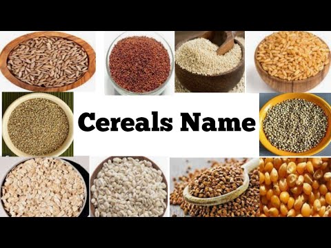 Cereals Name Vocabulary || Cereals Name With Pictures || English For Beginners