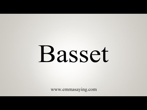 How To Say Basset