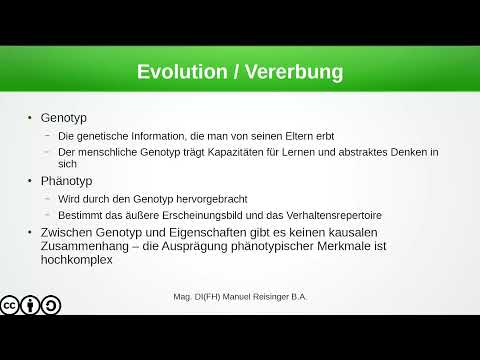 Psychologie - Biologie - Genotyp und Phänotyp