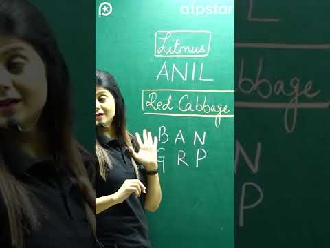 Tricks for Litmus Paper and Red Cabbage PH Indicator Video Lecture - Class