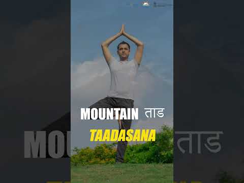 Let's celebrate International Day of Yoga 2025!