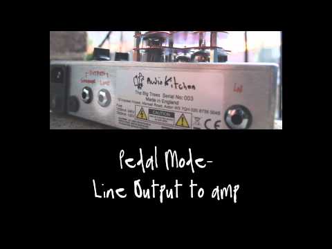 Audio Kitchen The Big Trees | Reverb