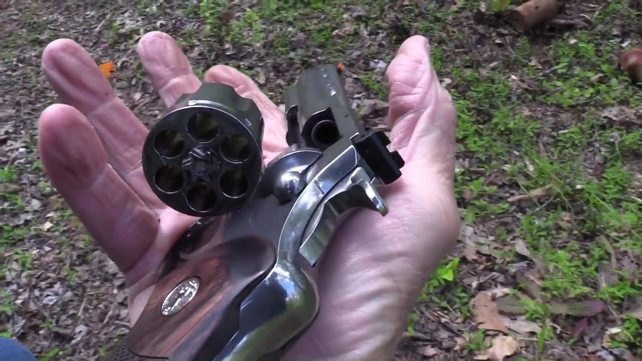 2020  Python Close-up