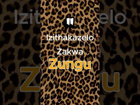 Izithakazelo zakwa Zungu, Zungu Clan Names, Zungu Clan Praises #Zunguclanpraises #zulutribe #Zulu