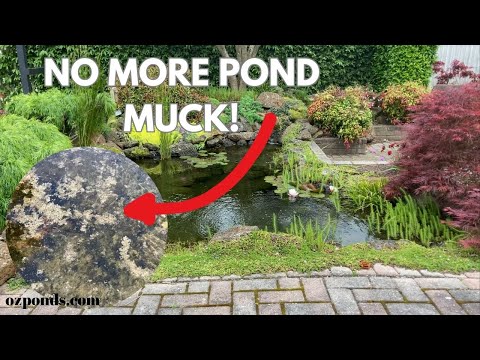 Using sodium percarbonate to remove pond muck!