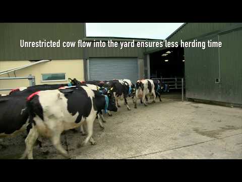 Milking Process and Handling Facilities