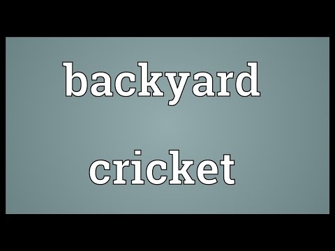 Backyard cricket Meaning