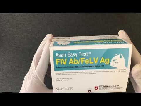 Feline immunodeficiency virus antibody test/leukemiavirus antigen test FIV Ab / FeLV Ag 10T/Kit