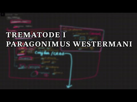 Trematodes 1: Paragonimus Westermani
