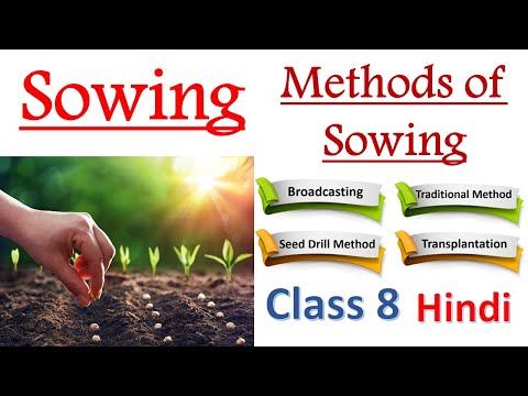 Sowing seeds class 8 in Hindi [ 𝐒𝐨𝐰𝐢𝐧𝐠 ] Methods of sowing seeds | Crop Production And Management